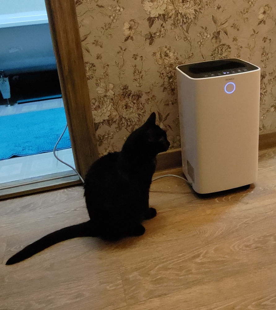 Осушитель воздуха REMEZ AeroDry 10 л /для дома, квартиры, подвала/ RMD-311N купить на OZON по ...