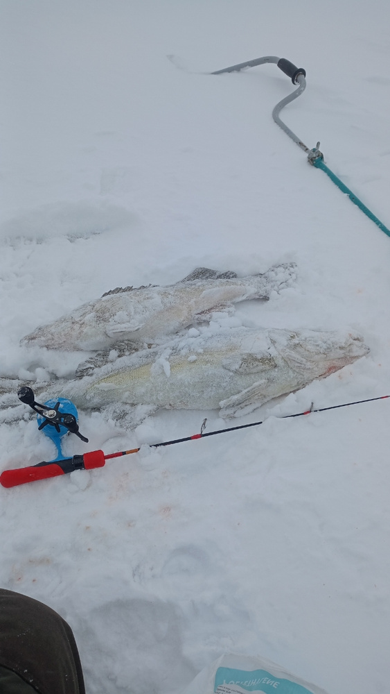 Воблер Виб (Vib) Frapp Vib WhipHead, 30 г купить c доставкой на OZON по низкой цене (2766049970)