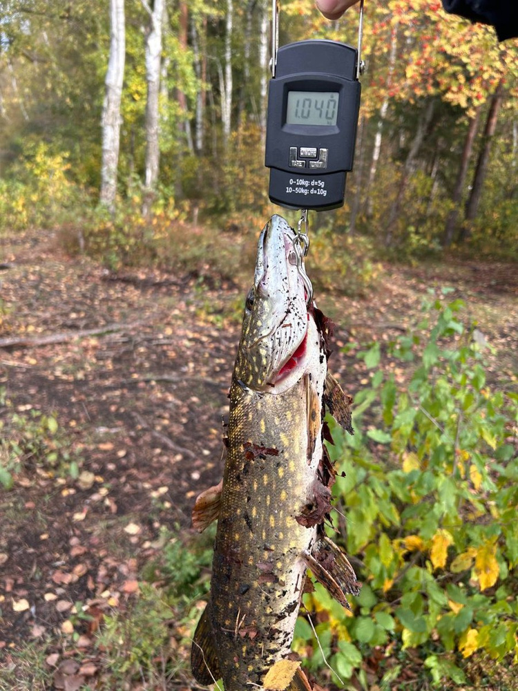 Силиконовая приманка для рыбалки на судака виброхвост Gufi 3 шт - купить по доступной цене в ...