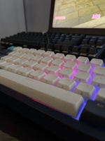 Клавиатура проводная Dark Project KD87 (DP-KD87A-000100-GMS) купить на OZON по низкой цене ...