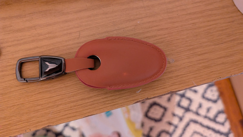 Чехол брелка автосигнализации, 1 шт. купить на OZON по низкой цене (2131802868)