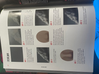 Цветология от Renderwave. Энциклопедия по цвету и цифровому рисованию ...