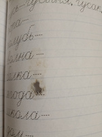 Тренажёр по чистописанию. Учимся писать грамотно. 2 класс НОВЫЙ ФГОС ...