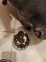507 отзывов на Royal Canin Diabetic (Роял Канин Диабетик со вкусом ...