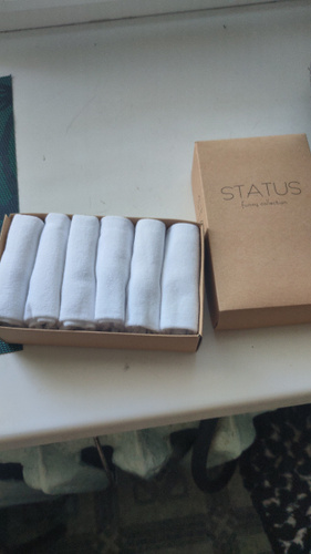 Носки Мужской Status, размер 41, 42 Хлопок Арбалет, Армейский рукопашный бой Лето бежевый ...