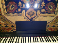 DEKKO FL-9027 BK - Подсветка для пюпитра, тип Прищепка купить на OZON ...