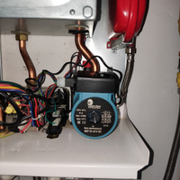 17 отзыв на Насос Wester WCP 25-60G 180 (с гайками) от покупателей OZON