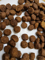 507 отзывов на Royal Canin Diabetic (Роял Канин Диабетик со вкусом ...