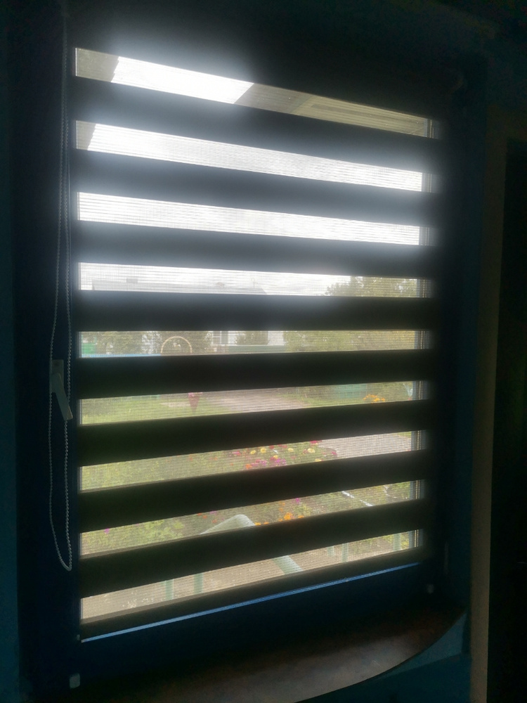 Рулонные шторы ЛюксЛайн PBML01 , размер 43х160 см, светло-серый, Полиэстер купить по низкой цене ...