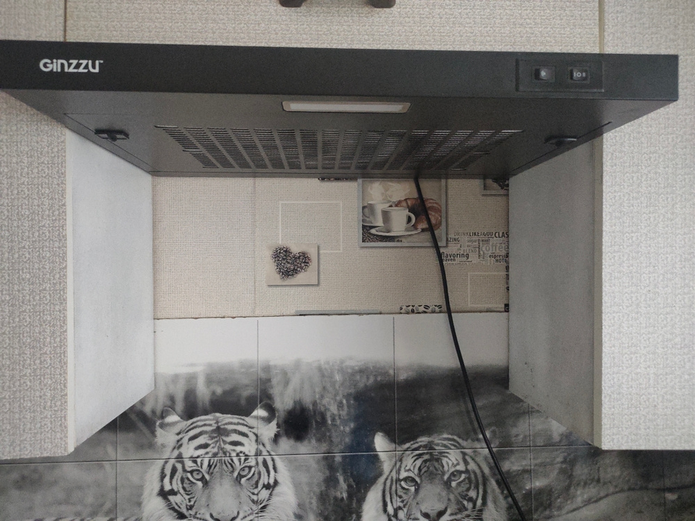 Встраиваемая вытяжка Ginzzu HKH-101 купить по низкой цене: отзывы, фото, характеристики в ...