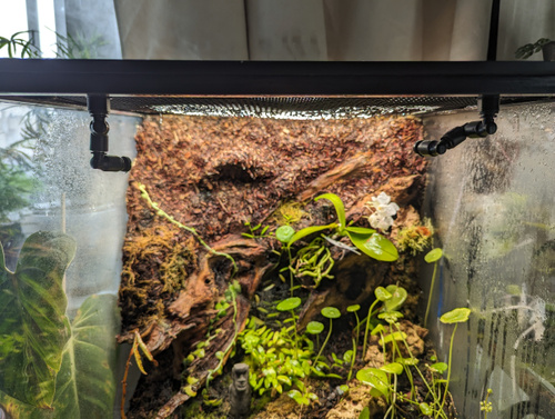 Система опрыскивания для террариумов Mius Mini, Автоматическая система ...