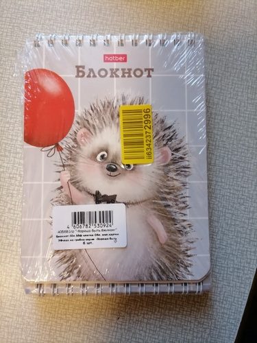 Набор блокнотов Hatber 40 листов, формата А6, в клетку, 65 г/кв. м, на гребне, ультрафиолетовый ...