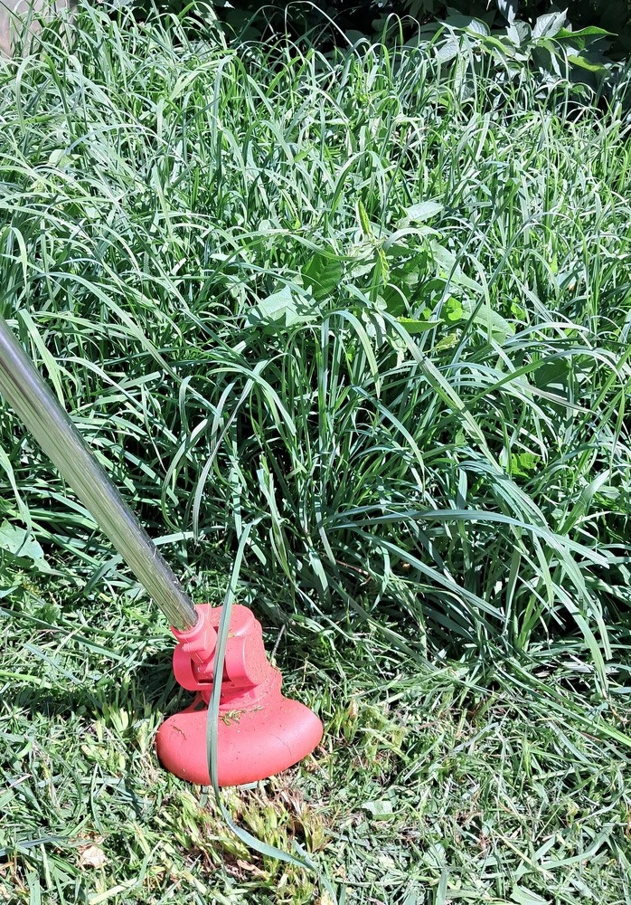 Триммер аккумуляторный садовый, Газонокосилка Vavilon, - купить по выгодной цене в интернет ...