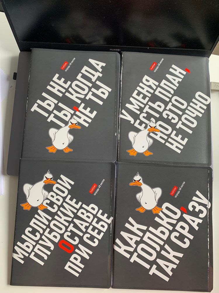 Набор тетрадей Hatber 48л клетка 65г/кв.м на скобе выборочный лак 5 дизайной/ 5 штук -Гусь умный ...