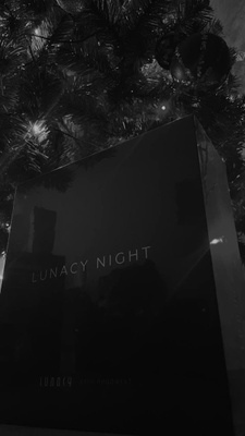 Наушники Полноразмерные Lunacy Night x Дарк Проджект - купить по доступным ценам в интернет ...