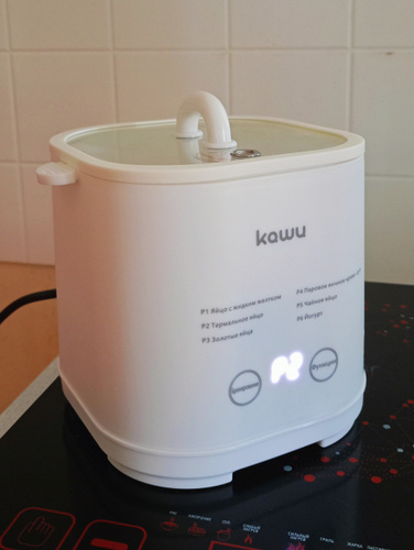 KAWU Яйцеварка электрическая пароварка 5-в-1, ZD10,белый купить на OZON по низкой цене (1981266346)