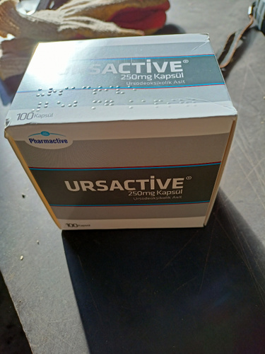 Урсактив URSACTIVE PHARMACTIVE 250МГ 100шт капсул+инструкция/ Турция ...
