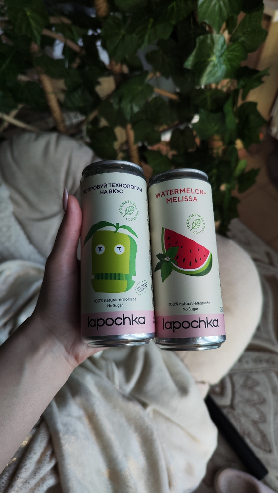 Натуральный лимонад без сахара LAPOCHKA Mix вкусов 20 х 0,33 л - купить с доставкой по выгодным ...