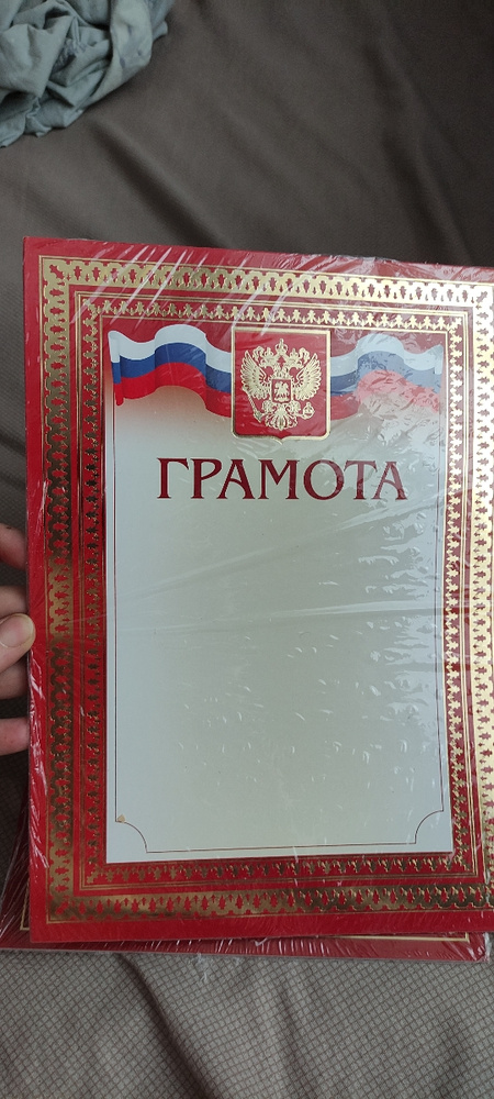 Грамота 10 штук Hatber, формат А4 купить на OZON по низкой цене (1973719199)