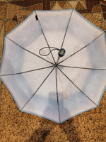 Зонт Popular Umbrella, 3 сложения, серый купить c доставкой на OZON по низкой цене (1091907162)