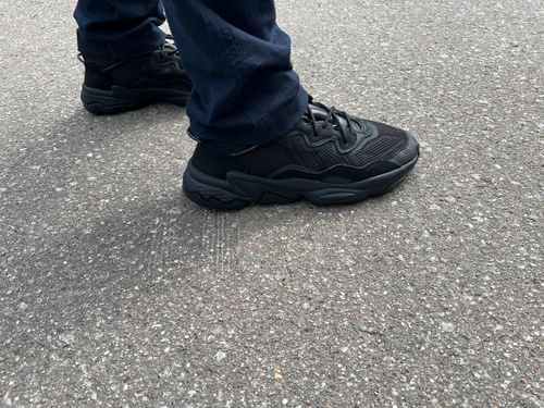Кроссовки adidas Ozweego - купить с доставкой по выгодным ценам в ...
