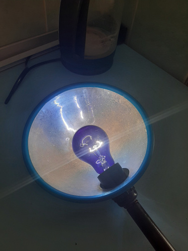 Синяя лампа из натурального кобальтового стекла (без краски) E27, 60Вт ...