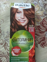 Palette Naturals Стойкая крем-краска для волос, 10-1 Пепельный блондин ...