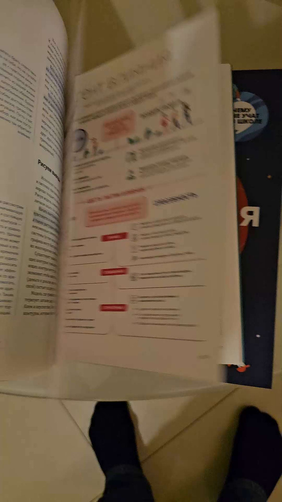 12 soft skills 21 века. Визуальный гид по развитию гибких навыков и креативности на основе 12 ...