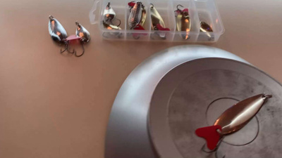 Колеблющаяся Блесна FishBear для рыбалки_102_1, 1 шт купить c доставкой на OZON по низкой цене ...