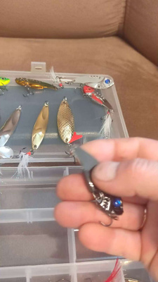 Колеблющаяся Блесна FishBear для рыбалки_102_1, 1 шт купить c доставкой на OZON по низкой цене ...