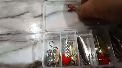 Колеблющаяся Блесна FishBear для рыбалки_102_1, 1 шт купить c доставкой на OZON по низкой цене ...