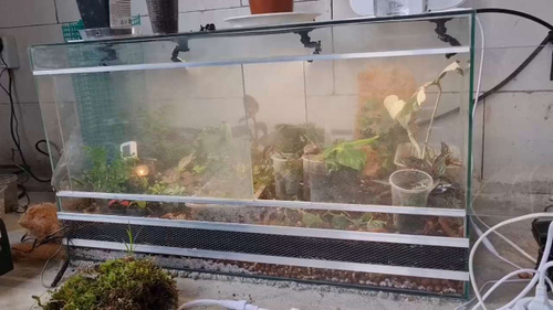 Система опрыскивания для террариумов Mius Mini, Автоматическая система ...