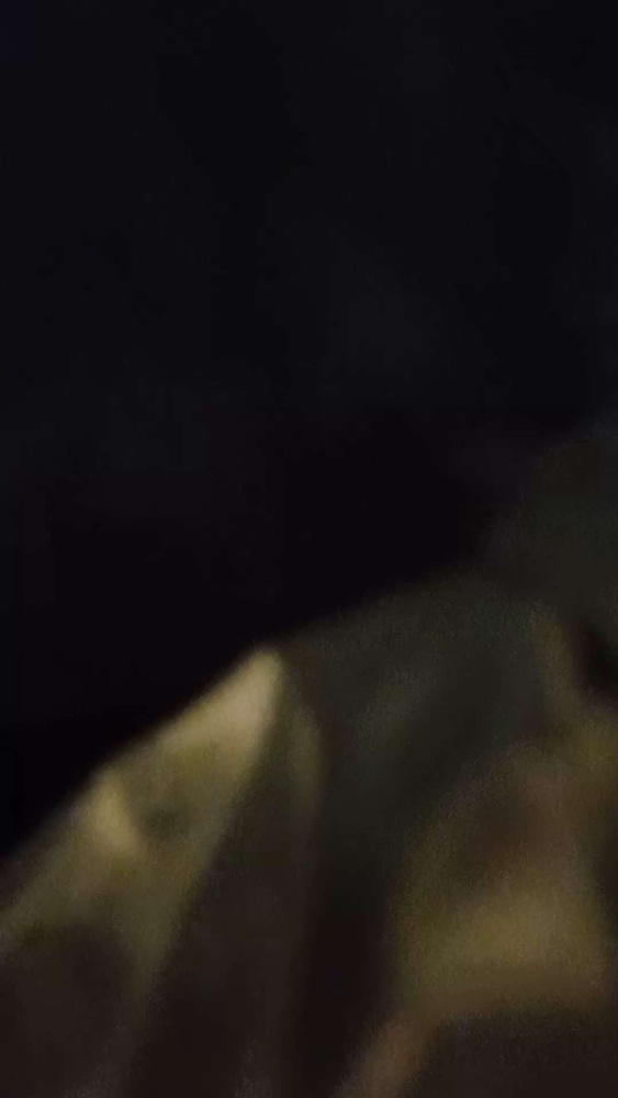 Flatazor Prestige Adult Sterilized Cat (Рыба) для кошек, 2 кг 8320208 купить на OZON по низкой ...