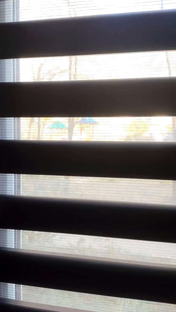 Рулонные шторы ЛюксЛайн PBML01 , размер 48х160 см, белый, Полиэстер купить c доставкой на OZON ...