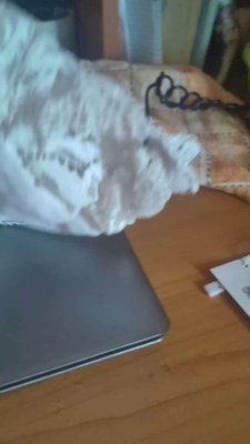 8282 отзыв на Бюстгальтер ANDETTA Нижнее белье от покупателей OZON