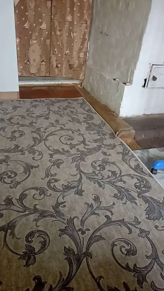 Ковер Print50, 3х купить c доставкой на OZON по низкой цене (812288264)