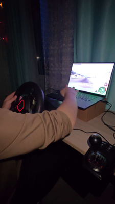 Игровой руль FLASHFIRE IMOLA F107 Force Feedback 900 купить на OZON по низкой цене (1432963037)