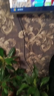 Медиаплеер SharksTraid MediaRoom, RJ-45 Ethernet, HDMI, AV, USB, USB Type-A, черный, Android ...