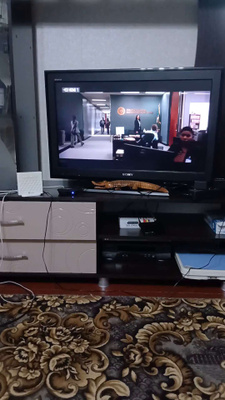 Медиаплеер SharksTraid MediaRoom, RJ-45 Ethernet, HDMI, AV, USB, USB Type-A, черный, Android ...