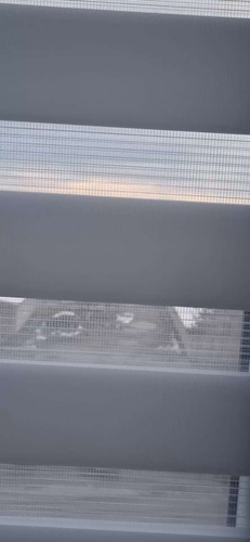 Рулонные шторы ЛюксЛайн PBML01 , размер 48х160 см, белый, Полиэстер купить c доставкой на OZON ...