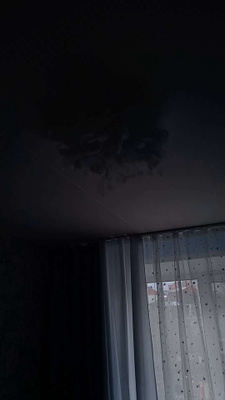 House hallow Потолочный светильник, LED купить на OZON по низкой цене ...