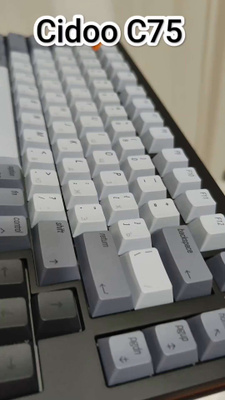 Магнитная клавиатура Cidoo C75 (Чёрная) для компьютера игровая купить ...