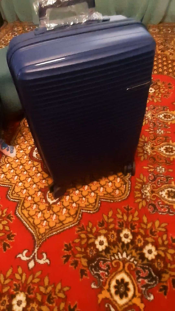 Robinzon Чемодан Полипропилен 65 см 63 л купить на OZON по низкой цене (1589857105)