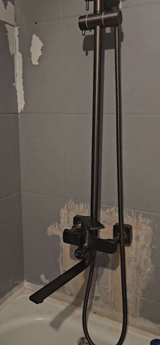 Душевая система с тропическим душем и смесителем Frap F2471 купить на OZON по низкой цене ...