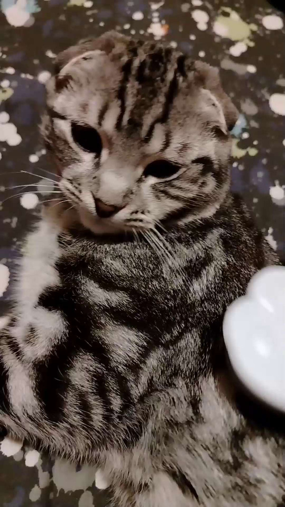 Дешеддер, расческа для кошек и собак, пуходерка, чесалка, щетка для ...